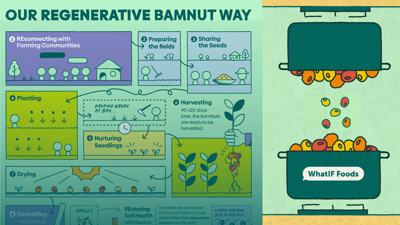 A new nut on the block – meet the Bambara groundnut